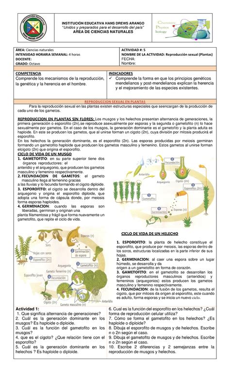 Taller 5 Reproducción Sexual En Plantas Imprimir InstituciÓn