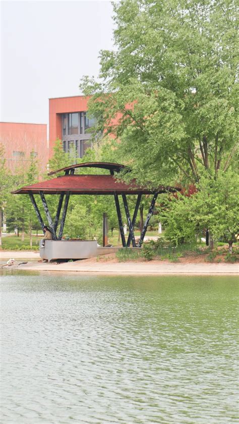 豫教思语听河南高校的单身宣言 洛阳师范学院