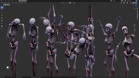 Low Poly Human Skeleton Model TurboSquid