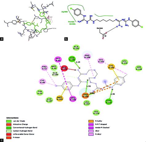 Interaction Map Of Binding Residues Of Receptor And Ligand Molecule In Download Scientific