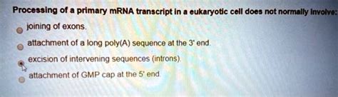 Processing Of Primary Mrna Transcript In Eukaryotic Cell Does Not Normally Involve Joining Of