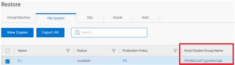 Powerprotect File Level Restore Of Shared Cluster Disk Fails If The Original Host Option Is