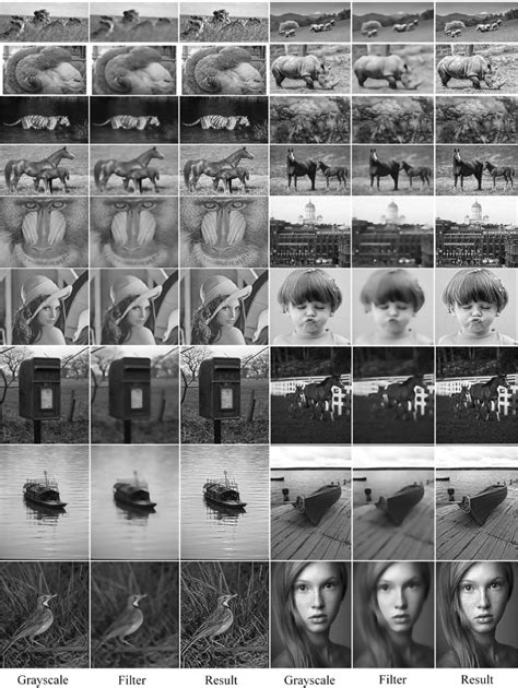 General Grayscale Image Using Rolling Guided Filtering For Detail