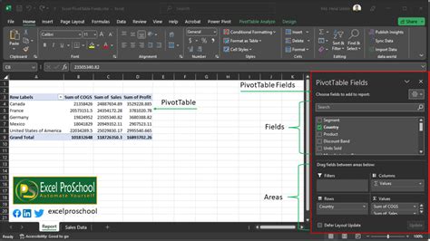 Excel Pivottable Fields Excel Pro School