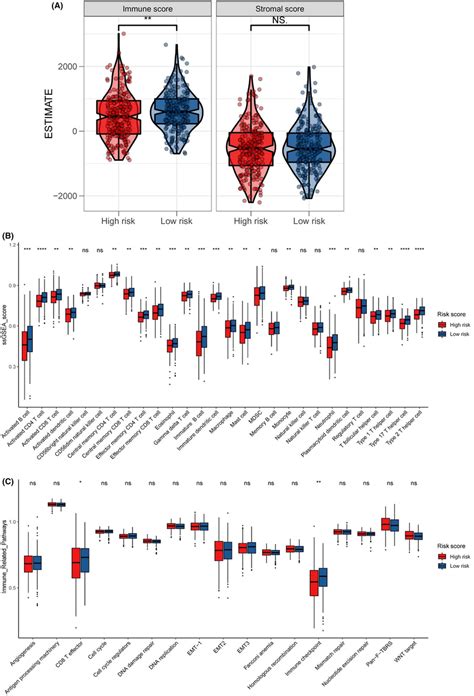 Tumor Microenvironment Analysis Of The Prognostic Risk Model For Colon Download Scientific