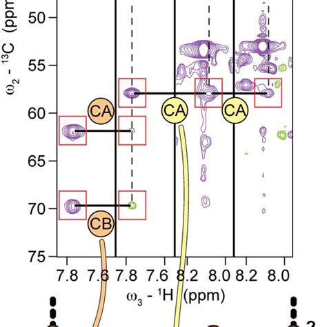 Conventional Stages In Protein Structure Determination By Nmr After Download Scientific