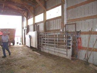 Tips For Creating Beef Cattle Handling Facilities Artofit