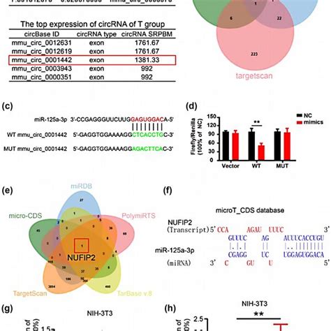 Circular Rna Circrna Sequencing Was Preformed To Analyze The Effect