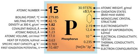 Phosphorus Types Explained