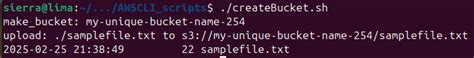 Aws Cli Automation Writing Shell Scripts For Cloud Management Dev Community