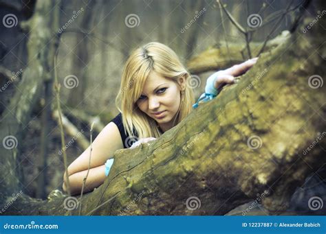 Girl In The Woods Stock Image Image Of Features Grove 12237887