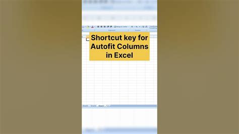 excel s secret trick to autofit column widths exceltips advanceexcel