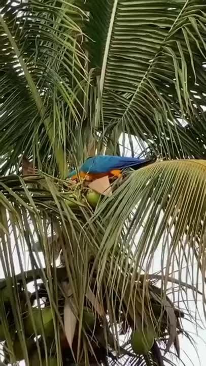 Subramanian Ramasamy Posted On Linkedin