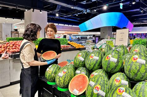 갤러리아타임월드 T 고메이 페스타 개최 노컷뉴스