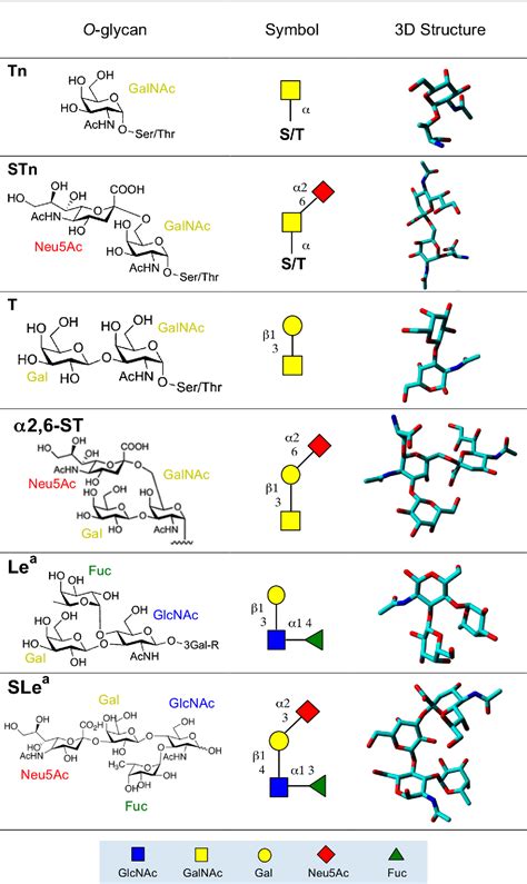 Figure 1 From Plant Lectins Targeting O Glycans At The Cell Surface As