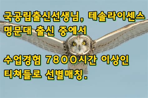 화상영어 전화영어 중요한 조건 네이버 블로그