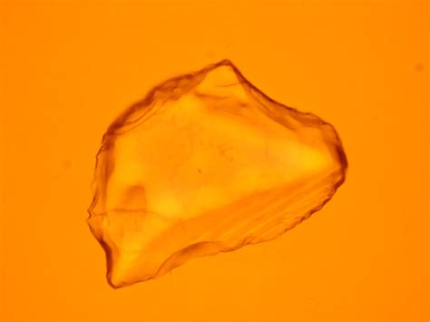 Glass Refractive Index Measurement System Microtrace