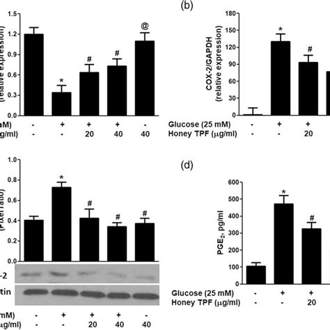 Targetscan Bioinformatics Algorithm For The Prediction Of Seed Matched