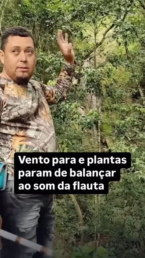 🌙 Já Imaginou Um Calendário Com 13 Meses Perfeitamente Alinhado Com Os Ciclos Da Lua 🌀 Muitos