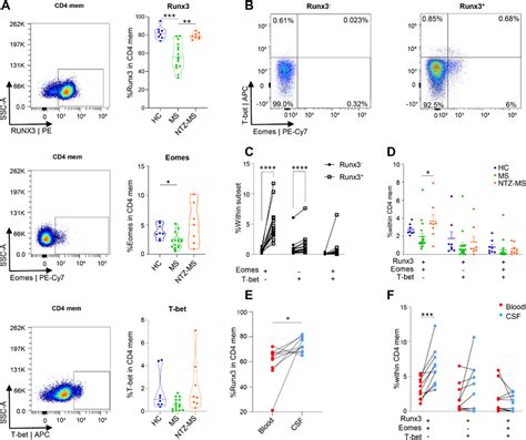 Relative Frequencies Of Runx3⁻ Eomes⁻ Andor T‐bet⁻ Expressing Cd4