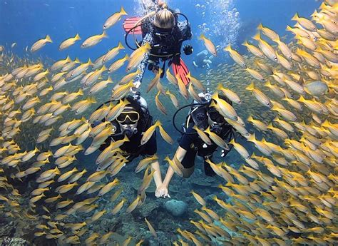 Become An Advanced Diver With Padi Aow Course On Phi Phi Island At Our