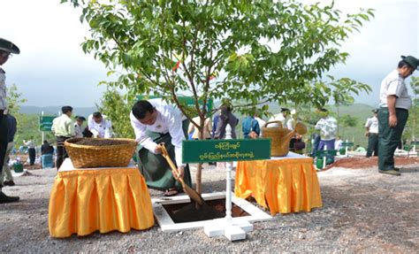 တောင်ကြီးမြို့ ပြည်နယ်အဆင့် ၂၀၂၃ ခုနှစ်၊ မိုးရာသီသစ်ပင် စိုက်ပျိုးပွဲပြုလုပ် Myawady Webportal