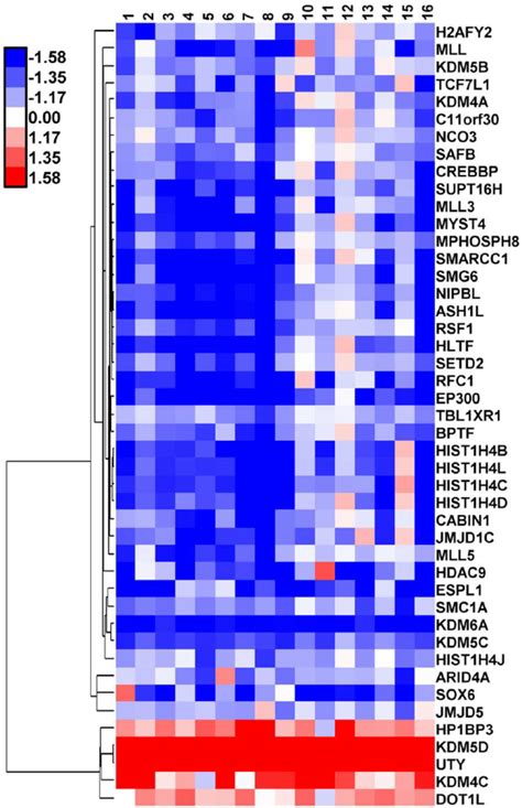 Heat Map Showing The Male Female Expression Fold Change On Each Of 16 Download Scientific