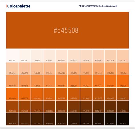 Rust Orange Information Hsl Rgb Pantone