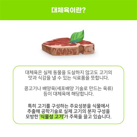 인포그래픽 대체육 회장님과 셀럽 이미지 이투데이