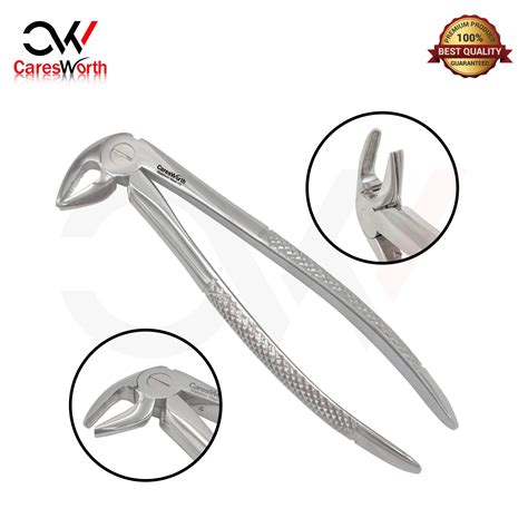 Tooth Extraction Forceps English Pattern No33c Order Now