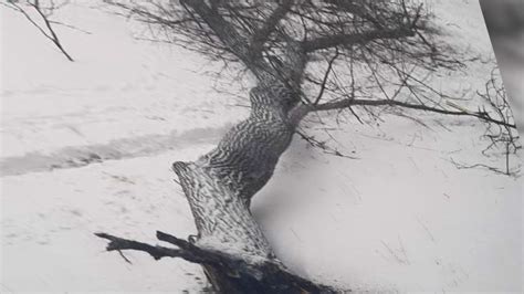 Tractor Object Detection Dataset By Objectdetection