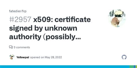 x509 certificate signed by unknown authority possibly because of