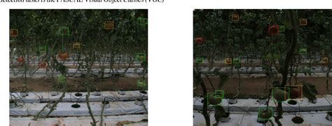 Figure 1 From Tomatod Evaluation Of Object Detection Algorithms On A