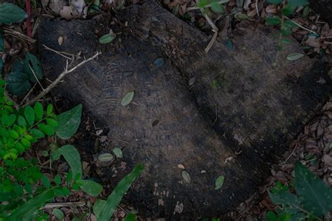 Free Photo Photo Of Ground Texture Pattern