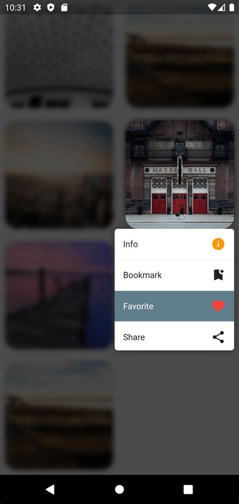 Focused Pop Up Menu In Flutter Mobikul