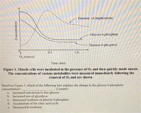 Solved Fructose 1 6 Bisphosphate Concentration Glucose
