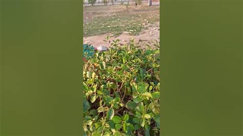 Hey Youtubeshorts 3dmodelingsoftware Parametric Youtube