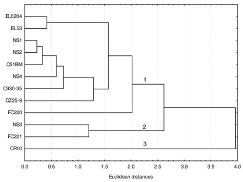 upgma dendrogram for cluster analysis of morphological traits in
