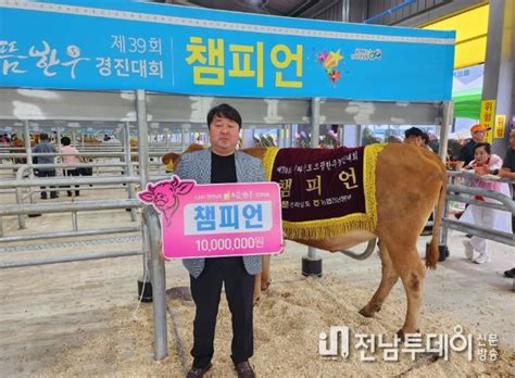 강진 한우 전남 으뜸한우 중 종합챔피언 등극
