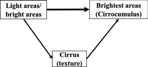 Diagrammatic Representation Of The Inferred Causal Pathways Between The