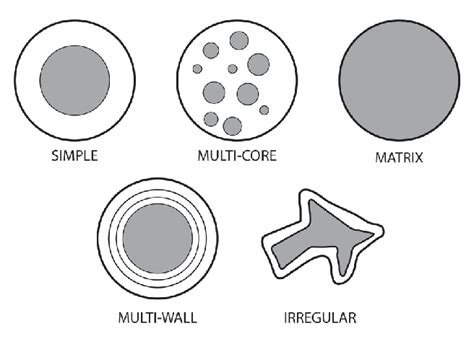 Morphologies Of Particles Obtained Using Encapsulation Processes
