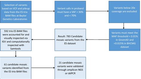 Filtering For Mosaic Variants Using A Bioinformatics Pipeline Vcf Download Scientific Diagram
