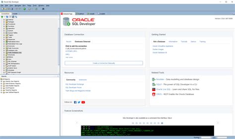 Things You Should Know After Installing Oracle Database 19c Manjaro Dot Site
