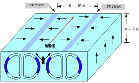Week 4 Wind Driven Circulation Flashcards Quizlet