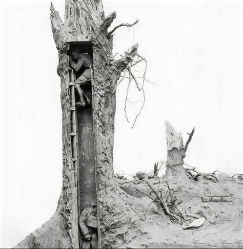 A Tree Turned Into An Twilight Histories Podcast