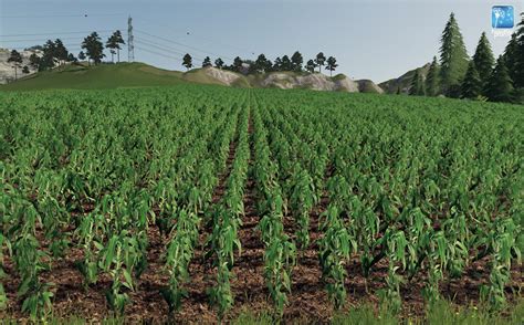 Fs 19 Forgotten Plants Maize V1 0 Fs 25 Modding Ls25 Mod Download