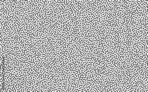 Generative Algorithm Psychedelic Background Reaction Diffusion Or Turing Pattern Formation