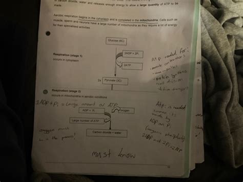 Unit 1 Cell Biology Flashcards Quizlet