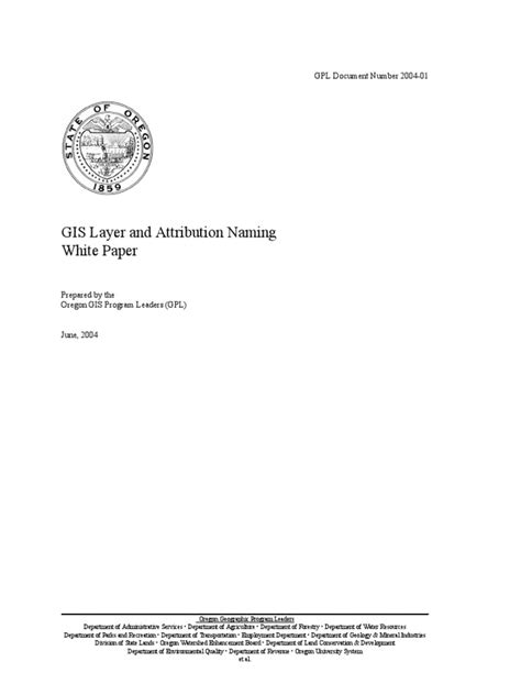 Gis Naming Whitepaper Pdf Geographic Information System Data