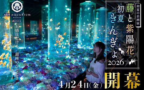 Art Aquarium Museum Ginza Ticket Klook